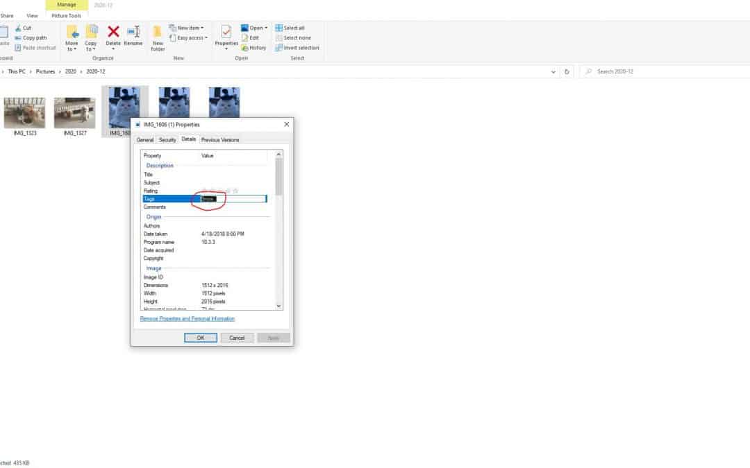 Can you Tag Photos in Windows 10 - Memories for You Co