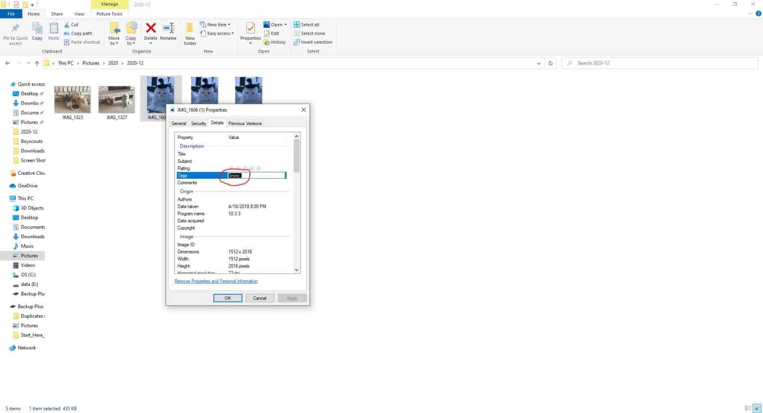 Can you Tag Photos in Windows 10 or 11? - Memories for You Co